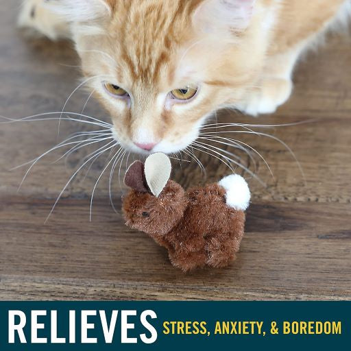 Our Pets Play n Squeak Backyard Bunny Cat Toy - Everyday Pets NZ