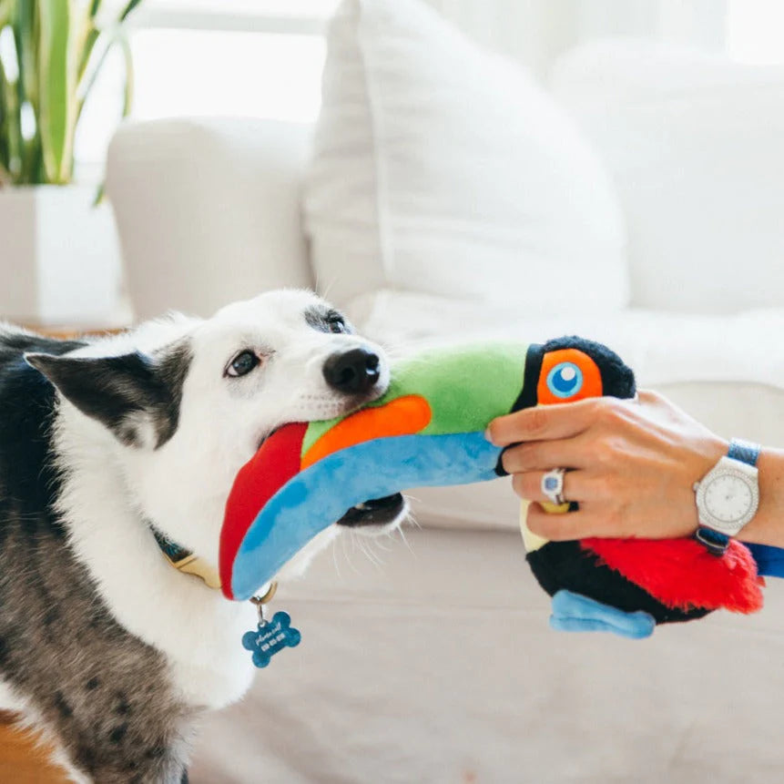 P.L.A.Y. Fetching Flock Dog Toy - Toucan – Everyday Pets NZ