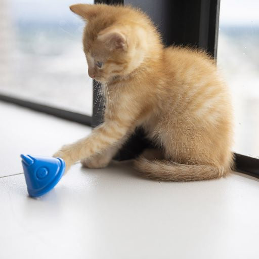 JW Cat Tumbler Cat Toy - Everyday Pets NZ