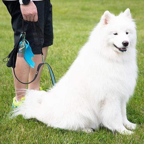 Hydrosmart Flex Travel Water Dog Bowl | Portable Water Dog Bowl ...