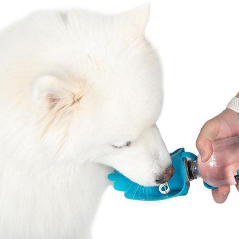 Hydrosmart Flex Travel Water Dog Bowl | Portable Water Dog Bowl ...